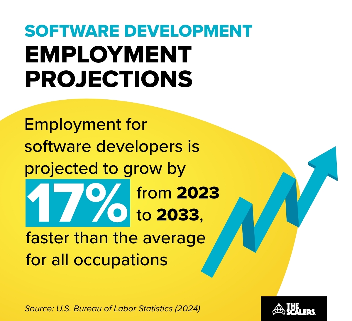 What’s the Total Number of Software Developers Worldwide?