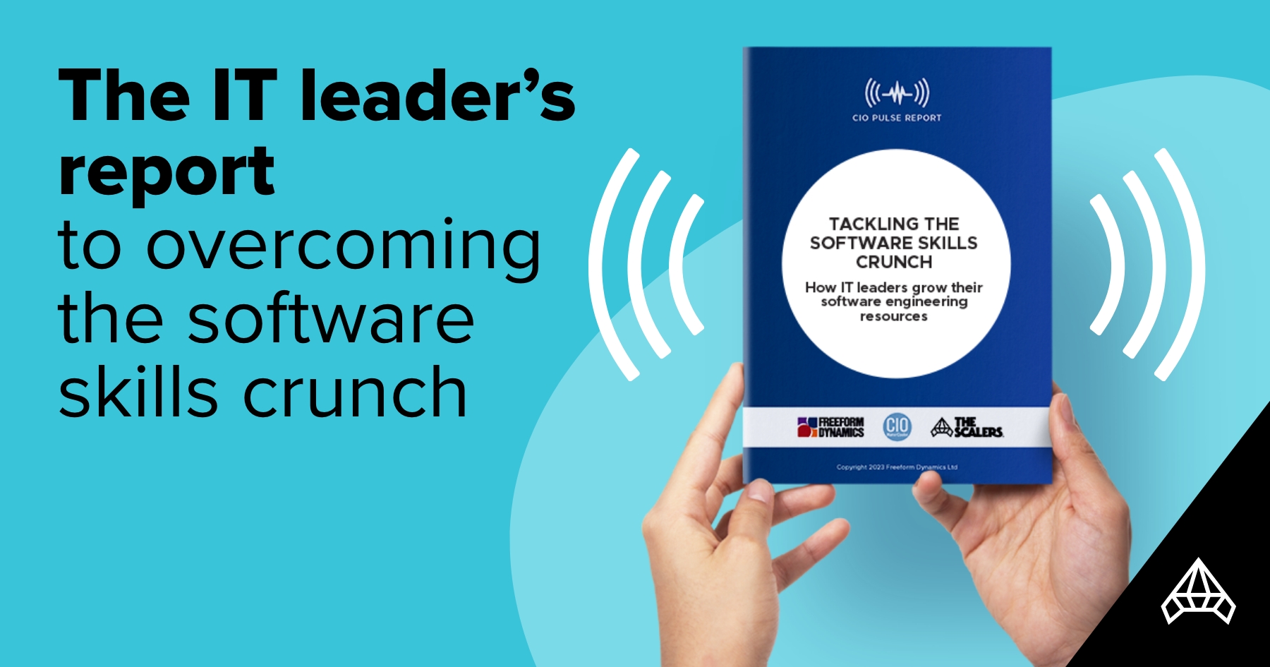 The IT Leader's Report to Overcoming the Software Skills Crunch